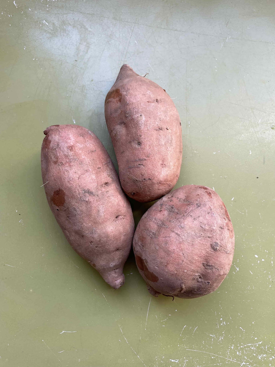 Sweet Potato Covington [1lb], NC © – Community Supported Grocery